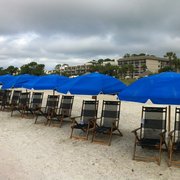 Coligny Beach Park - 129 Photos & 64 Reviews - Parks - 12 S Forest ...