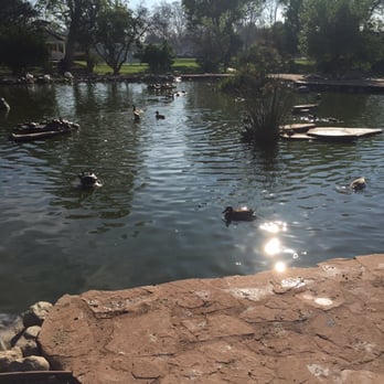 CSUN Pond - 289 Photos & 58 Reviews - Parks - 18111 Nordhoff St ...