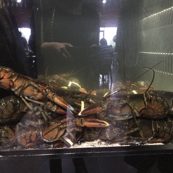 Smashin Crab - 463 Photos & 413 Reviews - Cajun/Creole - 8910 Bandera ...