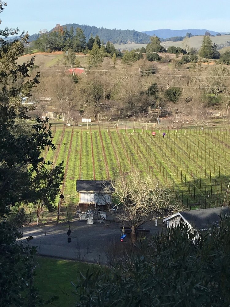 Ketcham Estate Winery - Wineries - 1083 Vine St, Healdsburg, CA - Phone ...