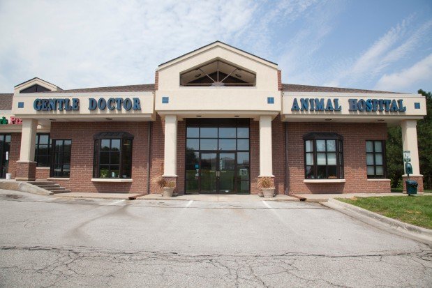 Gentle Doctor Animal Hospital - 14 Reviews - Veterinarians - 15230 W ...