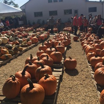 Patterson Fruit Farm - 93 Photos & 66 Reviews - Fruits & Veggies ...