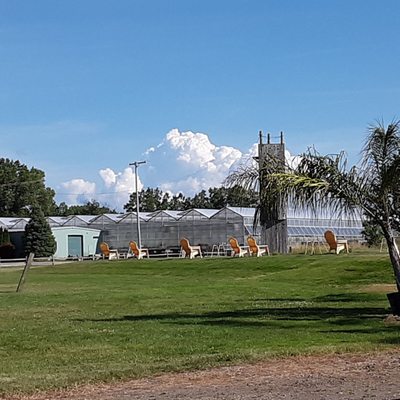 Webberville, MI Map & Directions - MapQuest