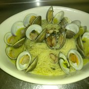 Ristorante Luce - 19 Photos & 69 Reviews - Italian - 2987 Whitney Ave ...