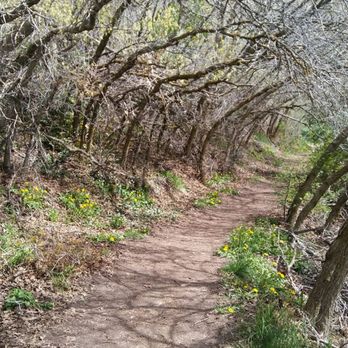 Mount Ogden Park - 2019 All You Need to Know BEFORE You Go (with Photos ...