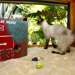 A Country Cat House - 27 Photos & 25 Reviews - Pet Groomers - 12006 SW ...
