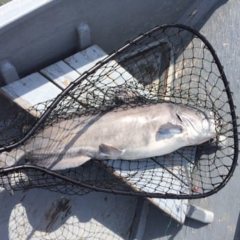 Fletcher’s Boat House - 60 Photos & 45 Reviews - Boating - 4940 Canal ...