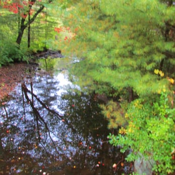 Swamp Meadow Covered Bridge - 21 Photos - Landmarks & Historical ...