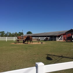 Hilltop Riding Stable - Horseback Riding - N Range Rd, Augusta, GA ...