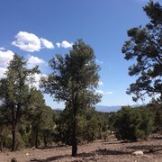 Mount Wilson Ranch - 16 Photos - Vacation Rentals - 8302 Mount Wilson ...