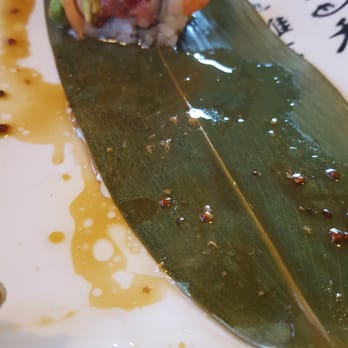 Crazy Grill - 349 Photos & 288 Reviews - American (New) - 12401 Haster ...