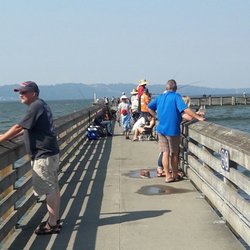 Dash Point Park and Pier - 40 Photos - Parks - 1500 Beach Dr NE, Tacoma ...