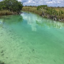 Sian Ka’an - Boat Tours - Col. Centro, Tulum, Quintana Roo, Mexico ...