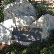 The George Harrison Tree - 25 Photos - Arts & Entertainment - 2800 E ...