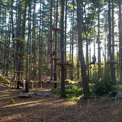 TreeTop Adventures - Temp. CLOSED - 16 Reviews - Challenge Courses ...