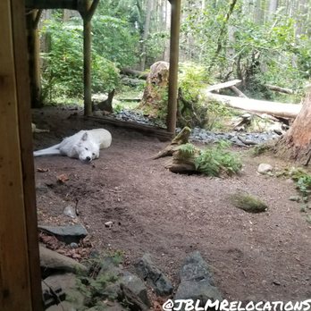 Northwest Trek Wildlife Park - 404 Photos & 158 Reviews - Zoos - 11610 ...