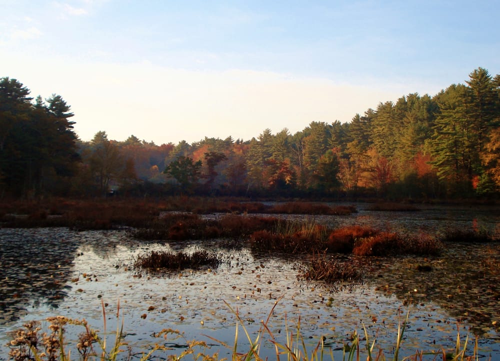 On Cranberry Pond Bed & Breakfast - 2019 All You Need to Know BEFORE ...