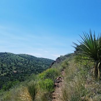 Davis Mountains State Park - 81 Photos & 40 Reviews - Parks - TX-118 ...