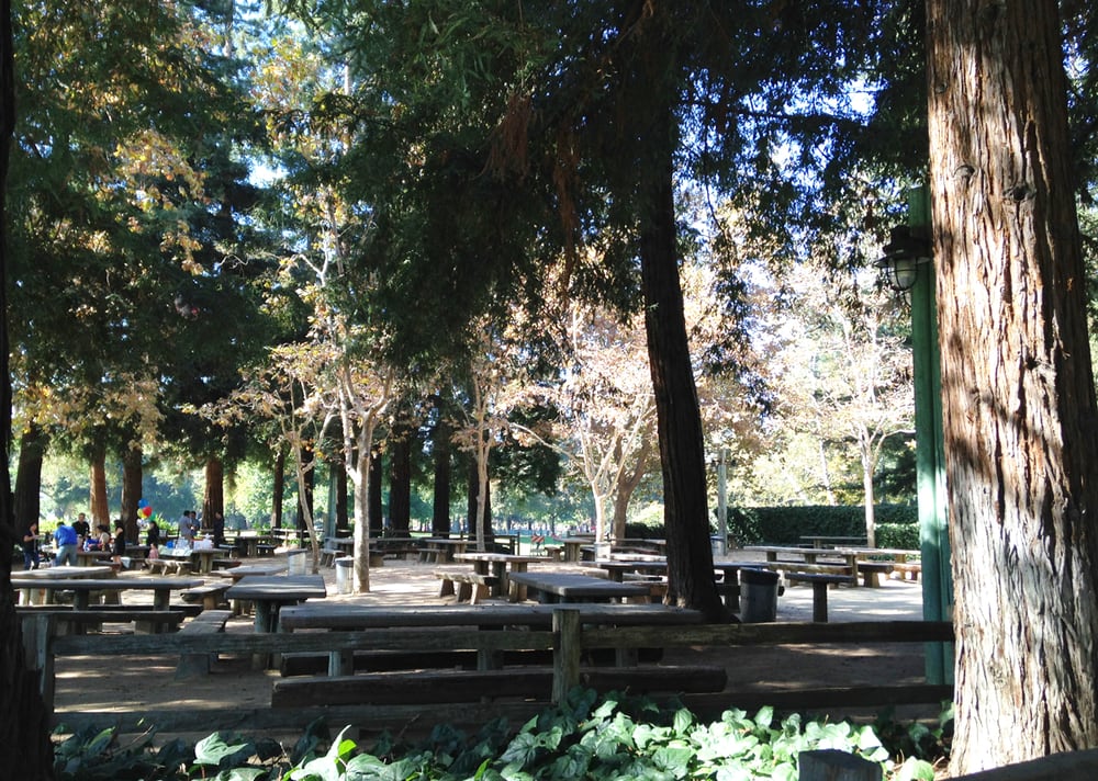Cuesta Park - 127 Photos & 102 Reviews - Parks - 615 Cuesta Dr ...