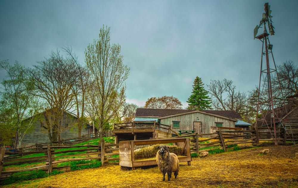 Riverdale Farm - 93 Photos - Zoos - Cabbagetown - Toronto, ON, Canada ...