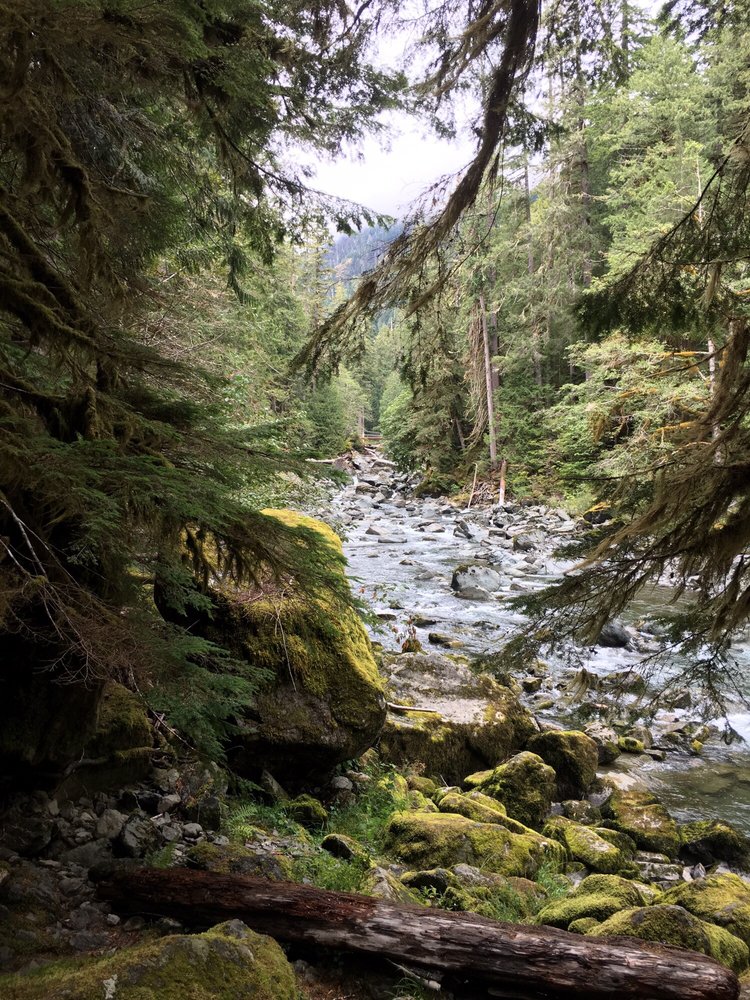 Staircase Campground - Campgrounds - N Lake Cushman Rd, Hoodsport, WA ...