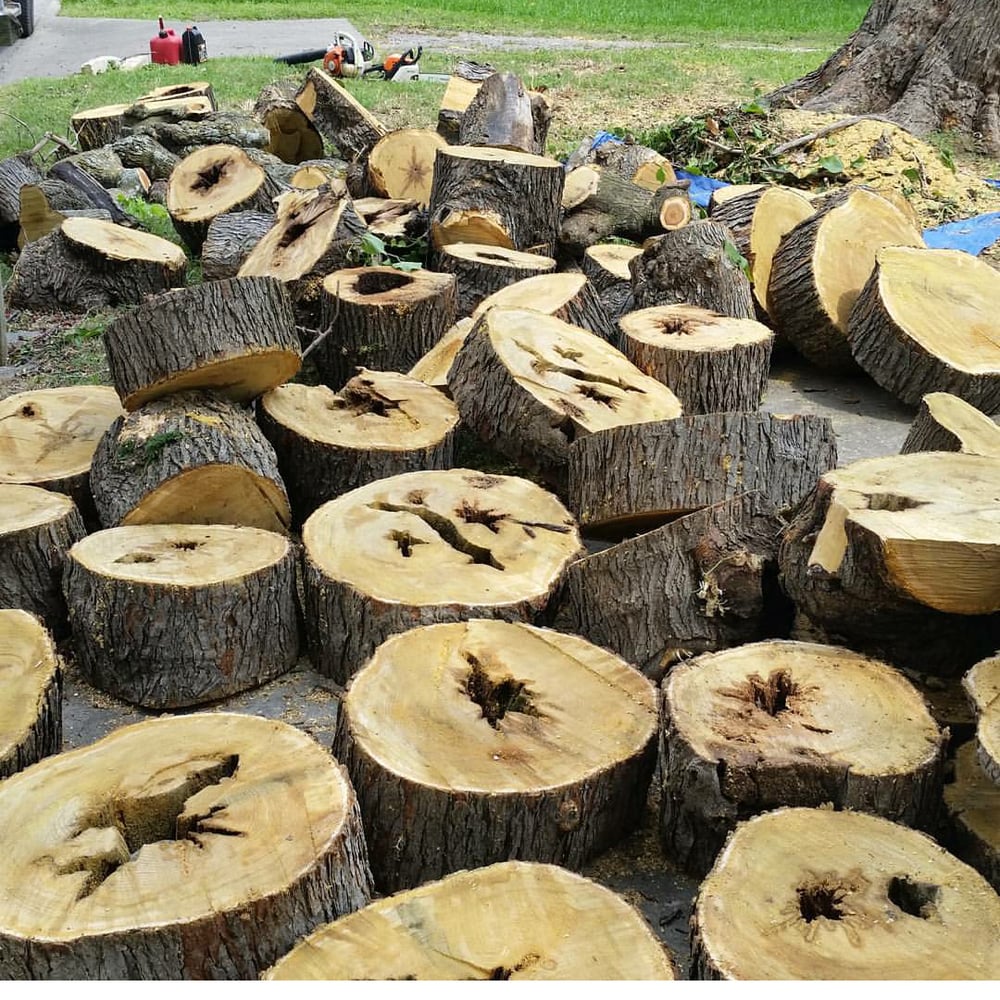 The Tree Man - 22 Photos & 86 Reviews - Tree Services - Austin, TX ...