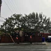 All Access Tree Care - 56 Photos & 92 Reviews - Tree Services - 289 ...