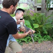 Croc Encounters - 127 Photos & 37 Reviews - Zoos - 8703 Bowles Rd ...