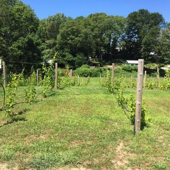 Cape Cod Winery - Wineries - 61 Photos & 37 Reviews - 4 Ox Bow Rd ...