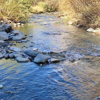 Camp Williams Resort - 82 Photos & 41 Reviews - Campgrounds - 24210 E ...