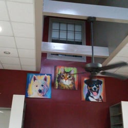 Sunset Animal Hospital - 42 Photos & 183 Reviews - Veterinarians - 2959 ...