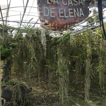 Isaac Farms - 249 Photos & 46 Reviews - Nurseries & Gardening - 18800 ...