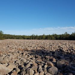 Boulder Field - 19 Photos - Hiking - Hickory Run State Park, Lake ...