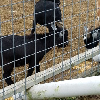 Hill Ridge Farms - 2019 All You Need to Know BEFORE You Go (with Photos ...