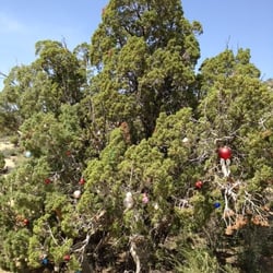 Christmas Tree Pass - 38 Photos - Climbing - Lake Mead National ...