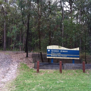 Toohey Forest Park - Parks - Toohey Forest Park, Nathan, Nathan ...
