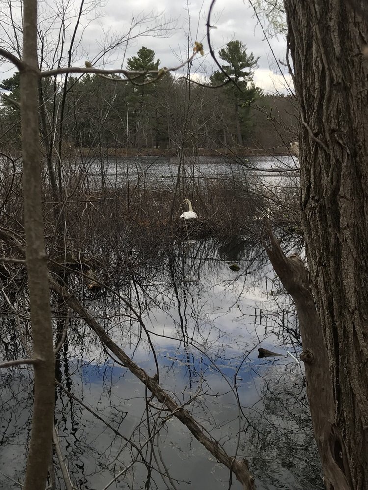 Morses Pond - Parks - 1-3 Turner Rd, Wellesley, MA - Phone Number - Yelp