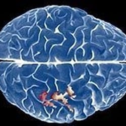 The Secret Science Club - 15 Reviews - Social Clubs - 149 7th St ...