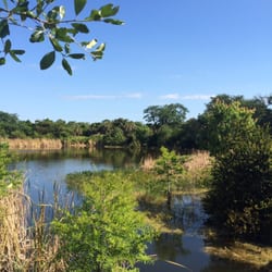 Daggerwing Nature Center - 22 Photos - Parks - 11435 Park Access Rd ...