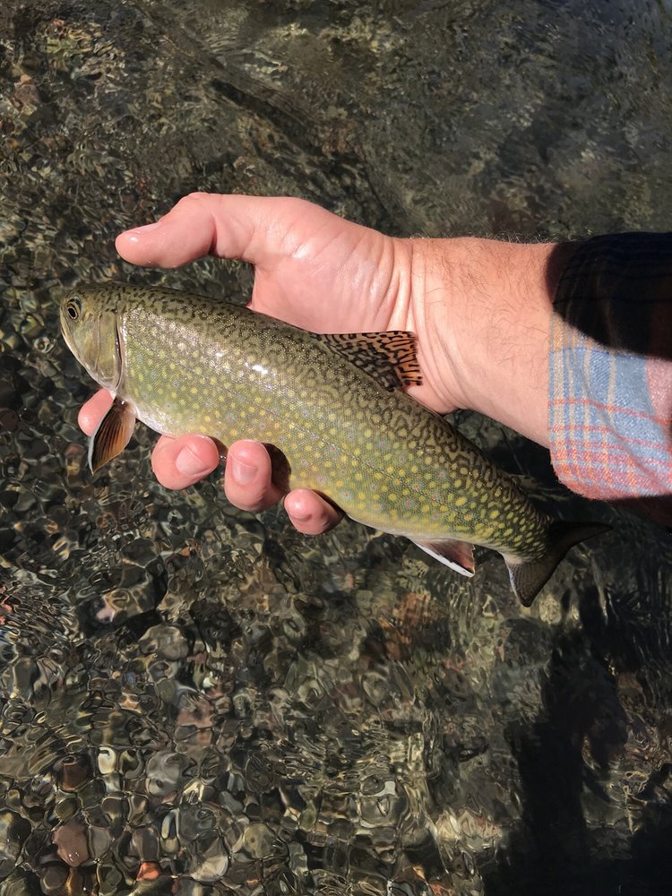 Cascade Guides & Outfitters - Fishing - Sunriver Village Mall, Sunriver ...