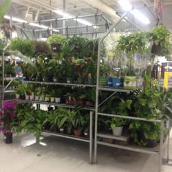 Walmart Supercenter - 11 Photos & 38 Reviews - Department Stores - 1515 ...