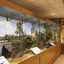 Mace Brown Museum of Natural History - 65 Photos & 10 Reviews - Museums ...