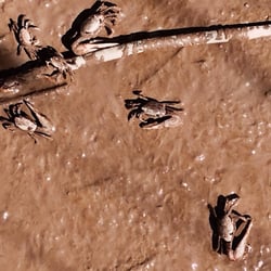 Tyler’s Beach - 17 Photos - Beaches - 15074 Tyler's Beach Rd ...