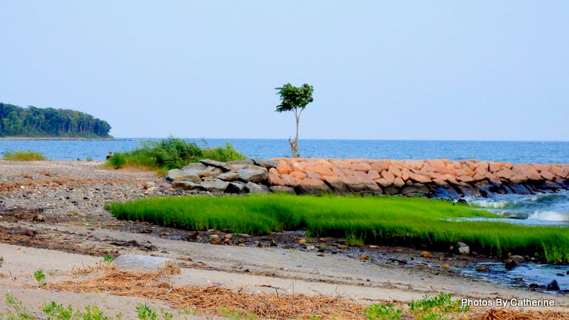 Silver Sands State Park - 123 Photos & 52 Reviews - Parks - Milford, CT ...