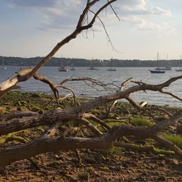 Garvies Point Museum & Preserve - 2019 All You Need to Know BEFORE You ...