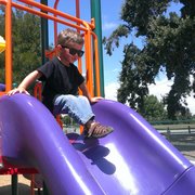 Newhall Community Park - 110 Photos & 71 Reviews - Dog Parks - Turtle ...