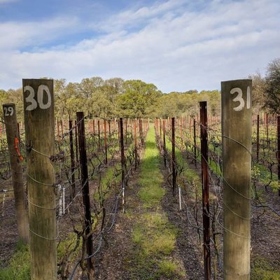 Ione, CA Map & Directions - MapQuest