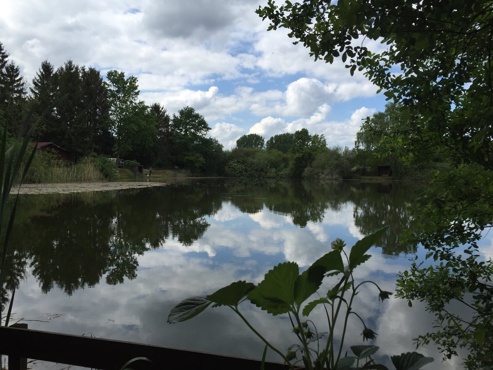 Erdbeercafé Am See - 13 Photos - Cafes - An der Tonkuhle, Ronnenberg ...