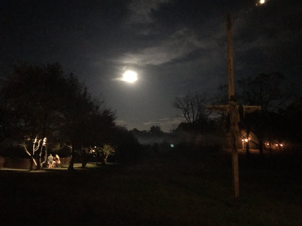 Haunted Hollow - 12 Photos - Haunted Houses - 8275 Maple Tree Ln ...