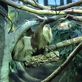 Essex County Turtle Back Zoo - 722 Photos & 221 Reviews - Zoos - 560 ...